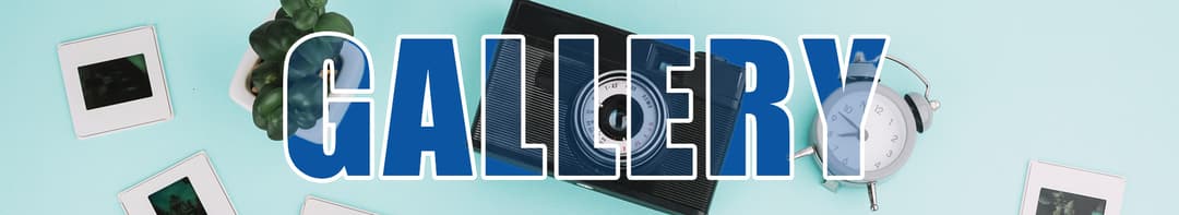 Gallery | Stew Digital Solutions Pvt. Ltd